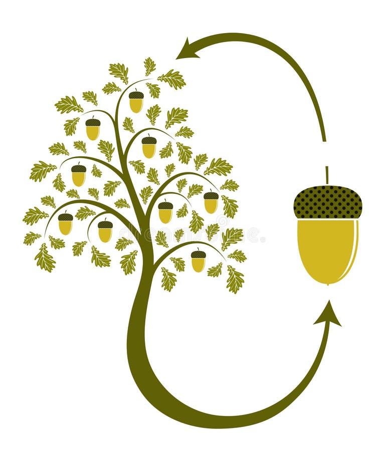 Seed To Tree Icon Stock Illustrations – 728 Seed To Tree Icon Stock ...