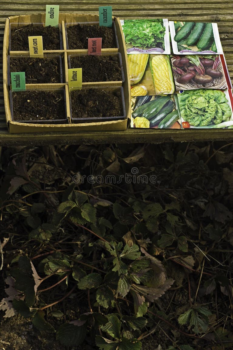 19,558 Seed Tray Stock Photos - Free & Royalty-Free Stock Photos from ...