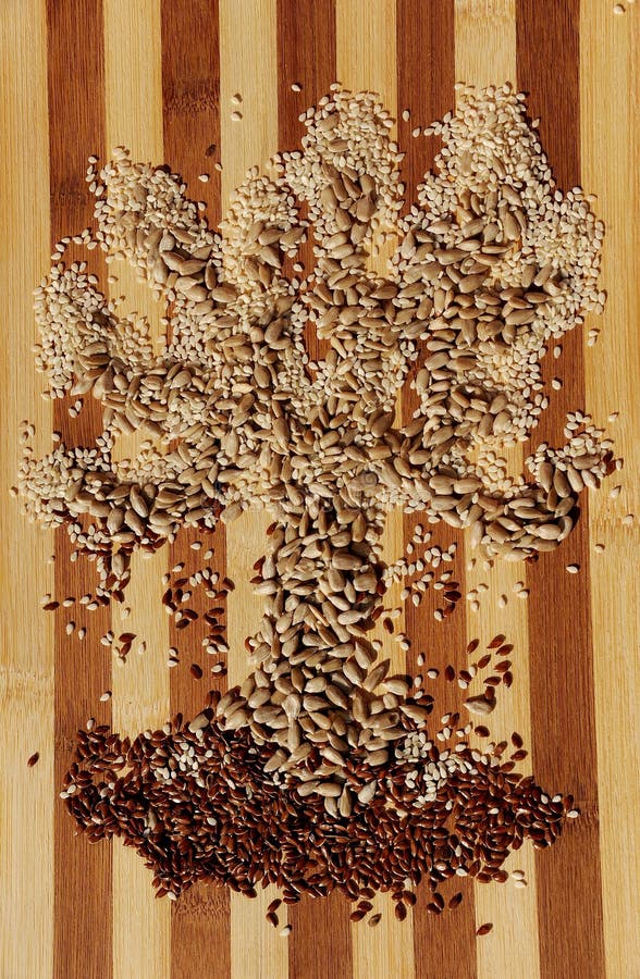 Seed tree stock image. Image of sunflower, sesame, seeds - 60854635