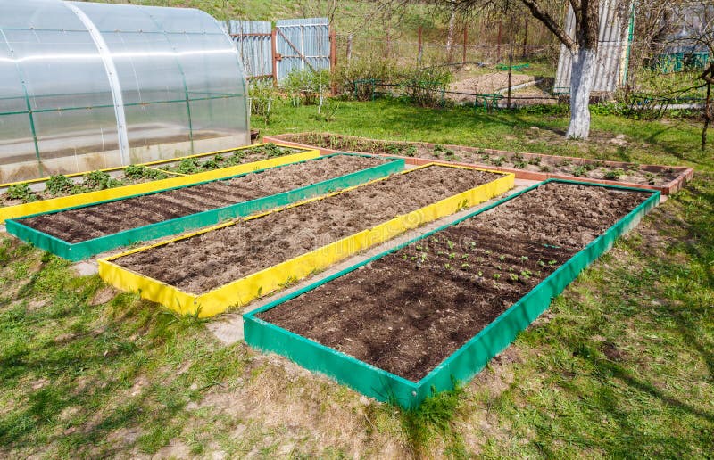 Seedbed on the Household Plot. Stock Photo - Image of greenhouse ...