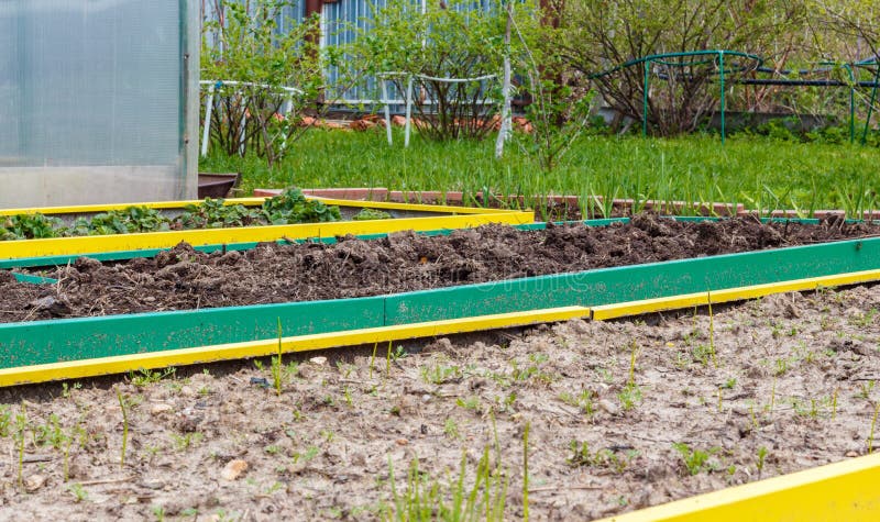 Seedbed on the Household Plot Stock Image - Image of household, plants ...