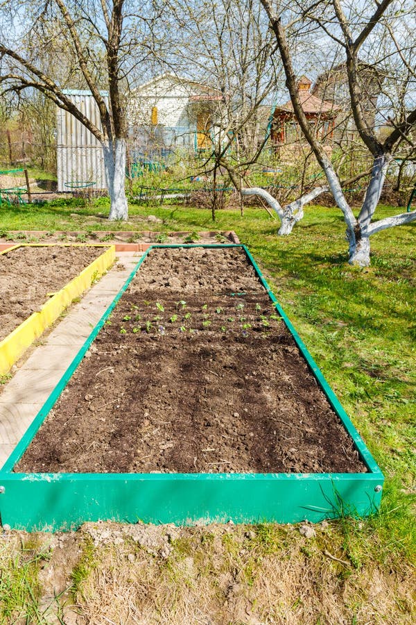 Seedbed on the Household Plot Stock Image - Image of household, plants ...