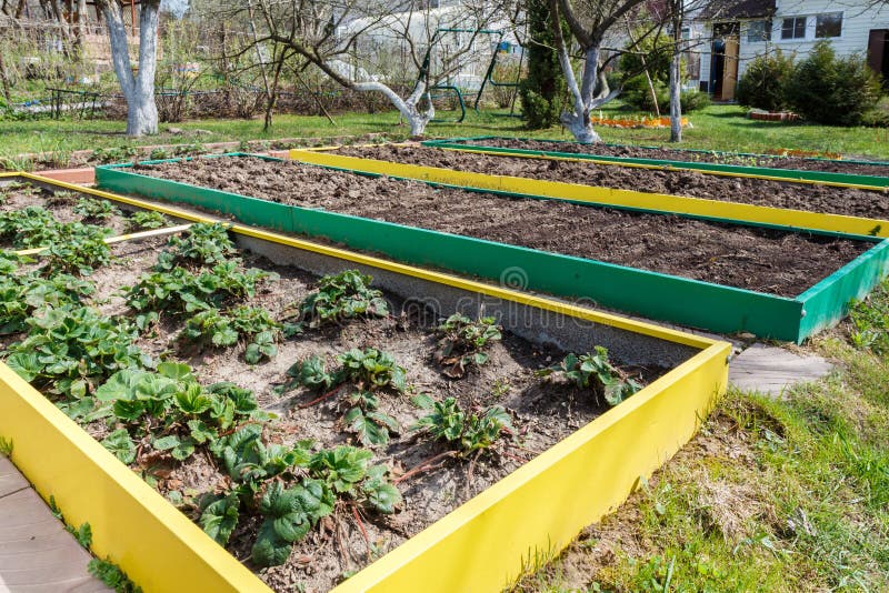 Seedbed on the Household Plot Stock Image - Image of household, plants ...