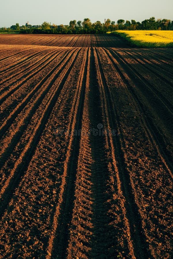 Seedbed preparation stock photo. Image of farm, cutting - 51815984