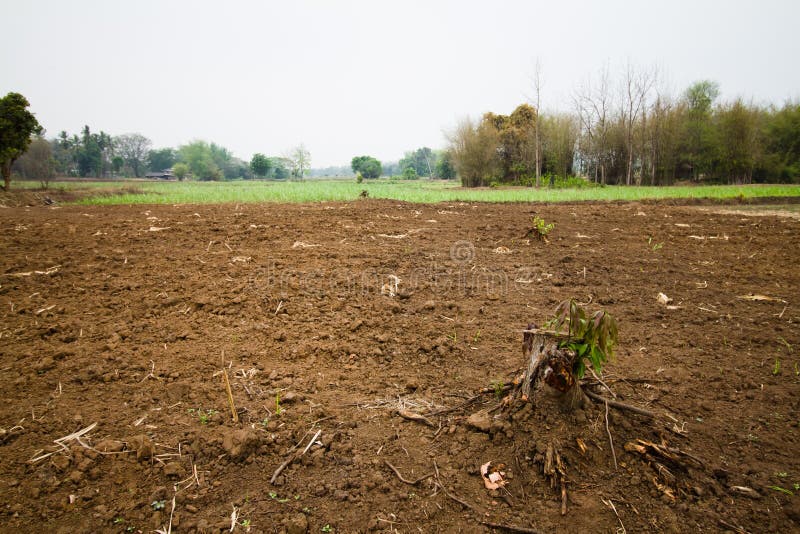 Seedbed preparation stock photo. Image of farm, cutting - 51815984