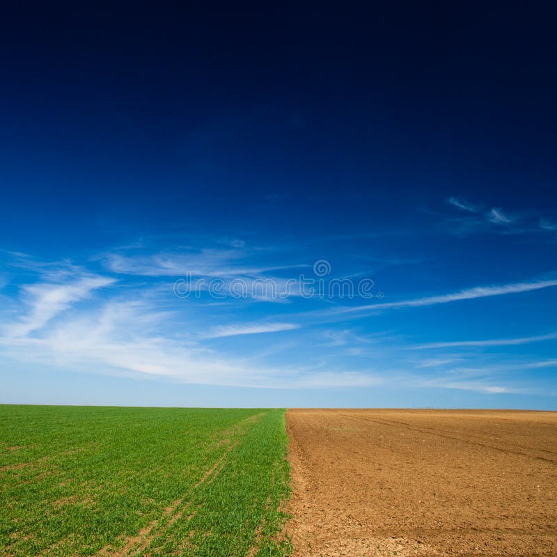 Crop Rotation Fields Fall Season Landscape Stock Image - Image of field ...