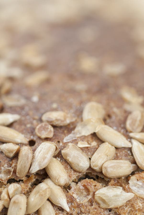 Seeded Loaf of Bread. stock photo. Image of macro, gourmet - 28061878