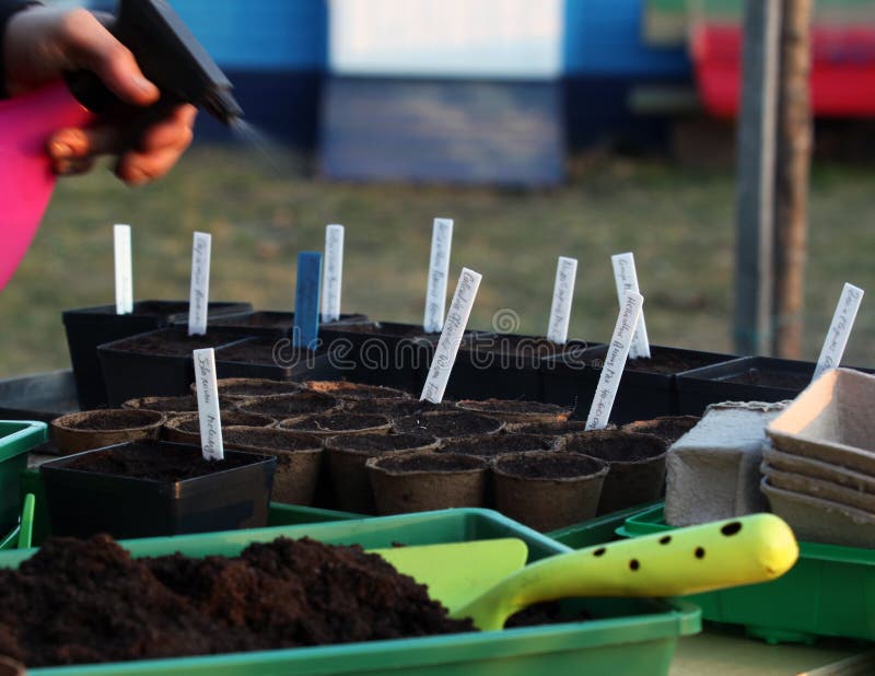 Seeding humidify stock image. Image of hand, special - 23663077