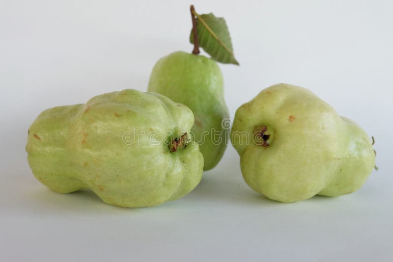 Seedless guava. stock photo. Image of diet, benefit, fruit - 49324428