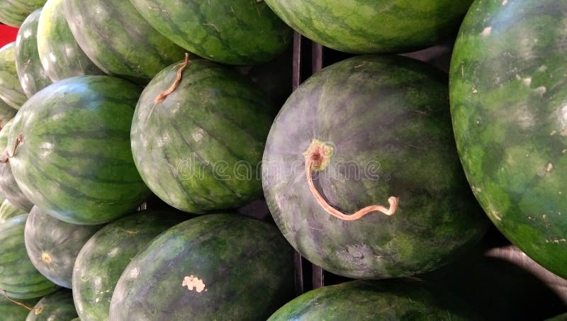 Photo of Seedless Watermelon on Display in a Supermarket Stock Photo ...