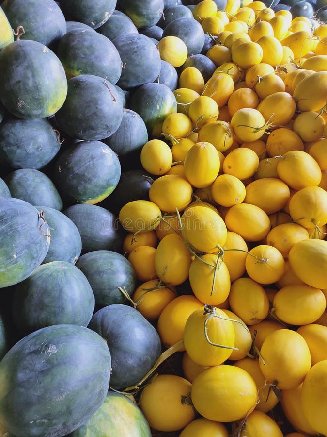 Golden Melon at Fruit Market Stock Image - Image of berry, strawberry ...
