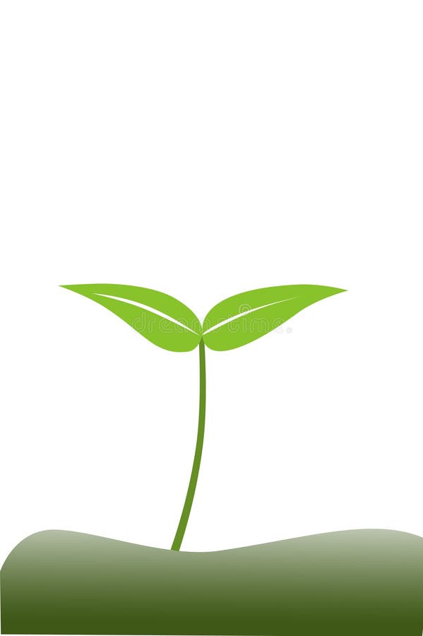 Seedling stock vector. Illustration of conservation, concept - 9043482