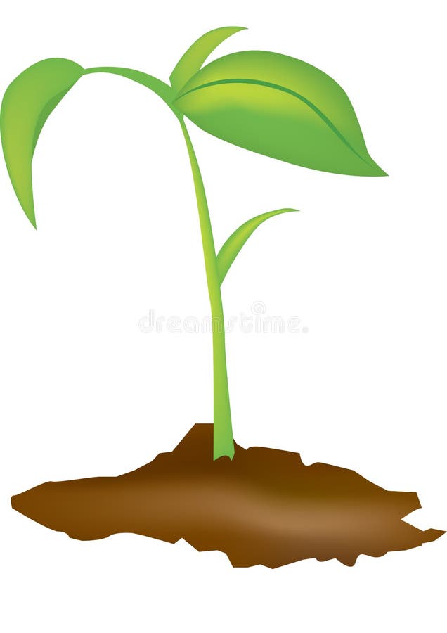 Seedling Clip Art