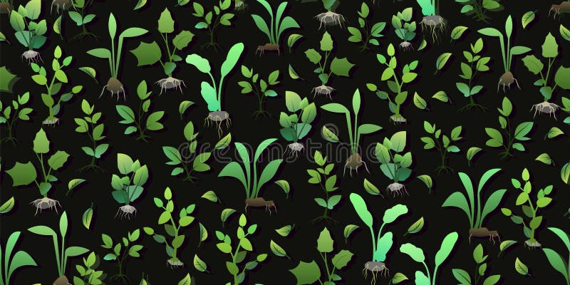 Seedling Garden Plants with Roots. Sowing Agricultural Material ...