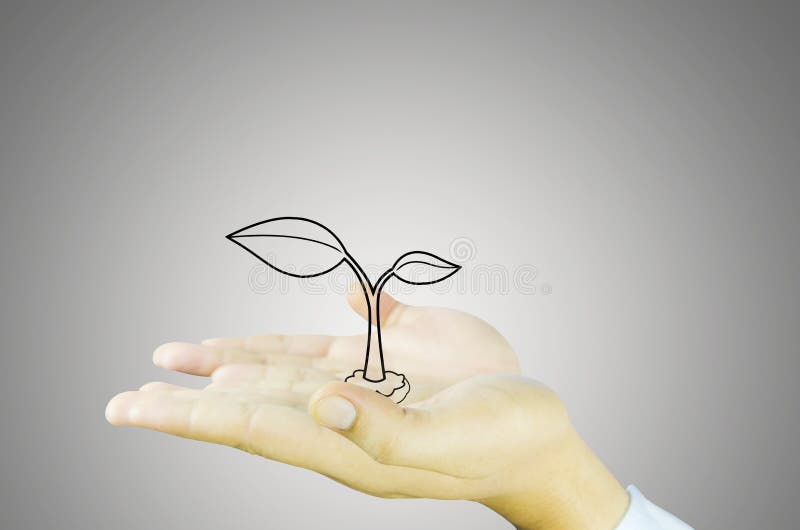 Seedling Growth on Human Hand Stock Illustration - Illustration of ...