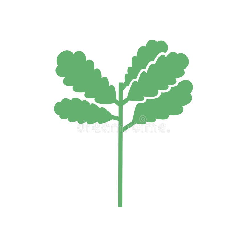 Seedling Icon. Green Growing Tree on White Stock Vector - Illustration ...