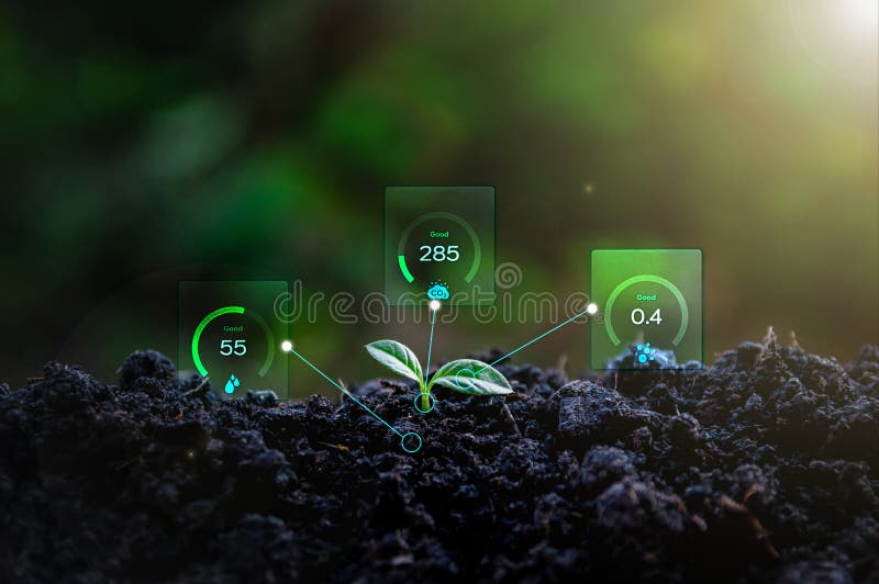 Seedling and Planting with Technology Concepts Ecology Environment ...