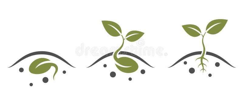 Seedling and Seed Germination Set. Sprouted Seed and Planting Symbol ...