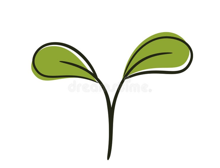 Seedling Sprout Illustration. Planting, Farming and Spring Design ...