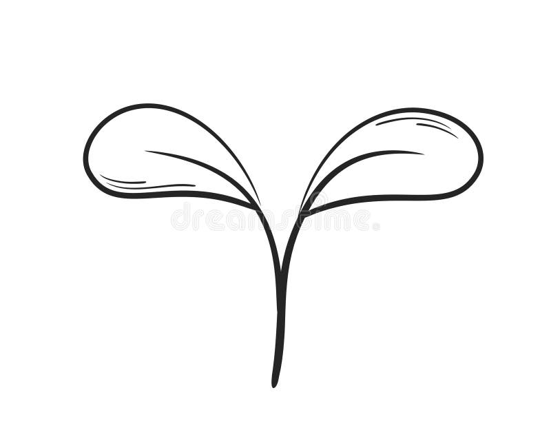 Seedling Sprout Line Illustration. Planting, Farming and Spring Design ...