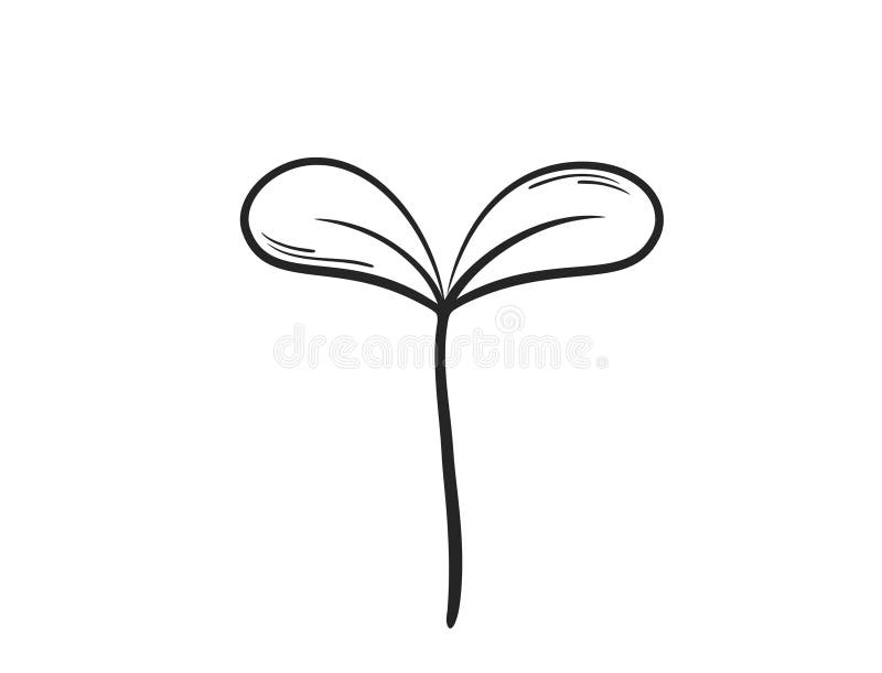 Seedling Sprout with Two Leaves Line Illustration. Planting and Spring ...