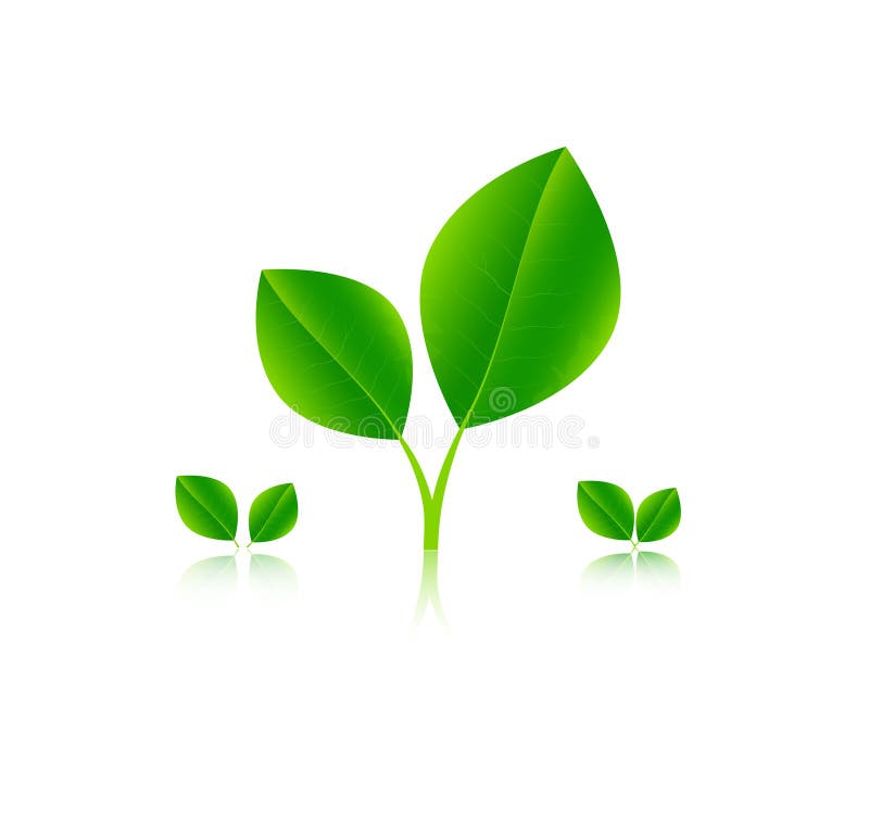 Seedling vector stock vector. Illustration of green - 119241332