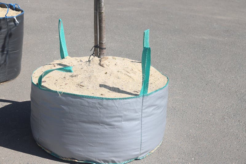 Seedlings in a Bag with Handles, Transporting Young Trees Stock Image ...