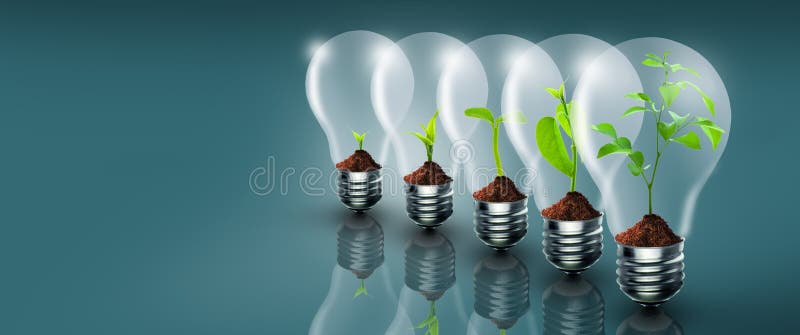 Seedlings Growing. Nature Ecology, Growth, Think Green, Power Saving ...