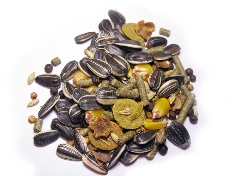 Dogs Kennel stock image. Image of architectural, english - 8818919