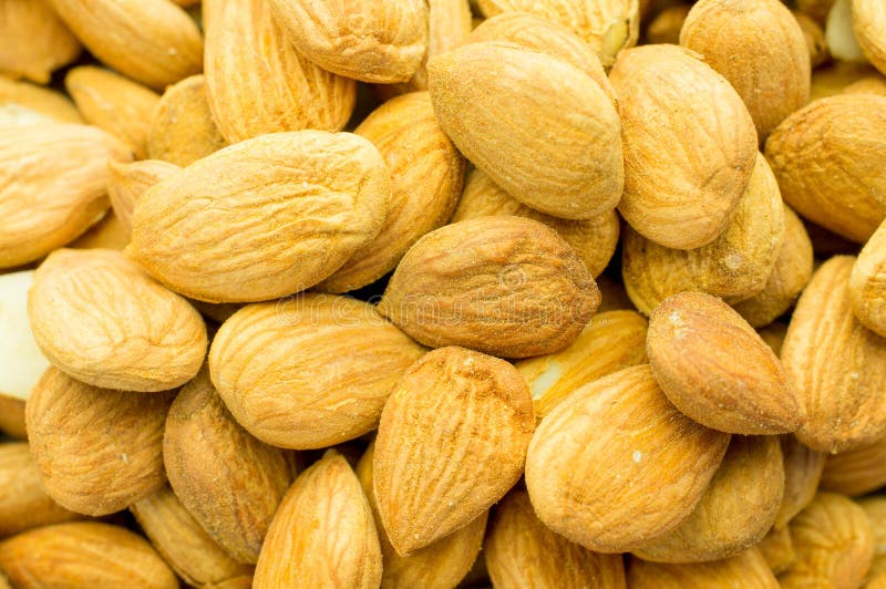 Seeds of apricot stock image. Image of almond, brown - 44835065