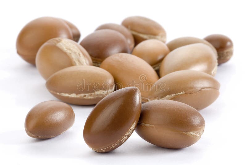 Seeds of argan stock image. Image of argan, care, aroma - 19071991