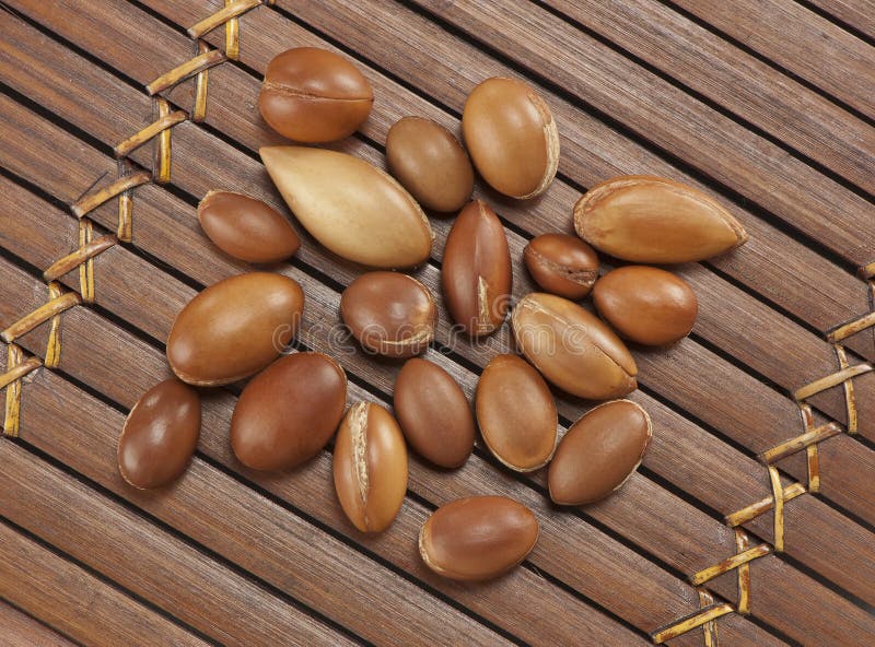 Seeds of Argan,Morocco Plant for Cosmetic Stock Photo - Image of globe ...