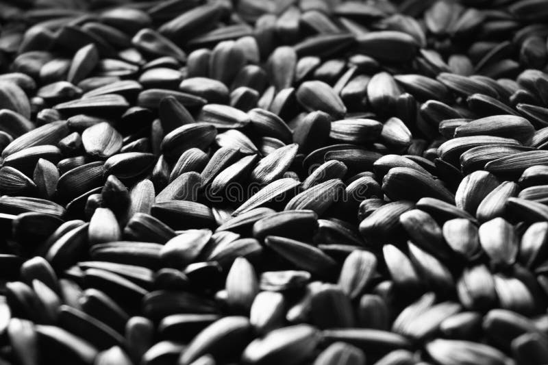 Rabbit Emoji Vector Stock Photos - Free & Royalty-Free Stock Photos ...