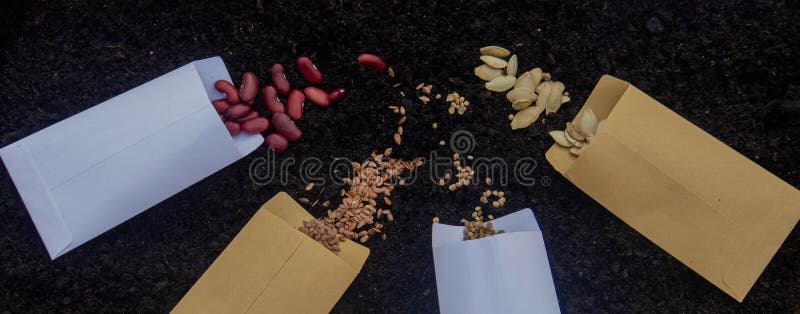 Seeds in Bags on the Ground. Preparation for Spring Planting Stock ...