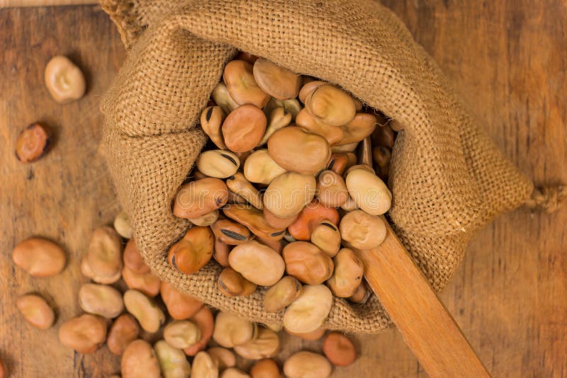 Seeds broad beans stock photo. Image of healthy, fine - 55597432