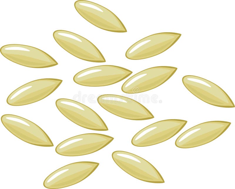 Seeds Stock Illustrations – 379,892 Seeds Stock Illustrations, Vectors ...