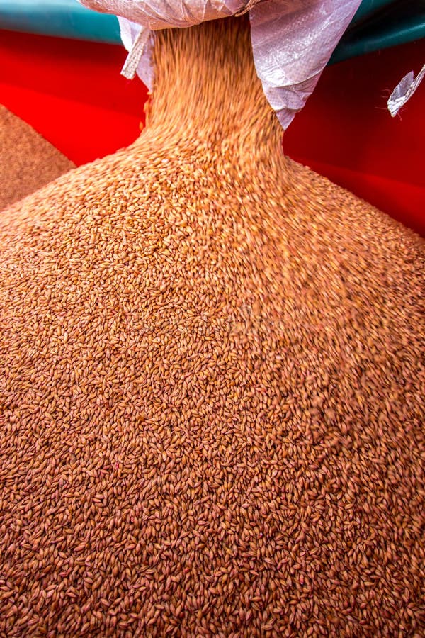 2,618 Falling Seeds Stock Photos - Free & Royalty-Free Stock Photos ...