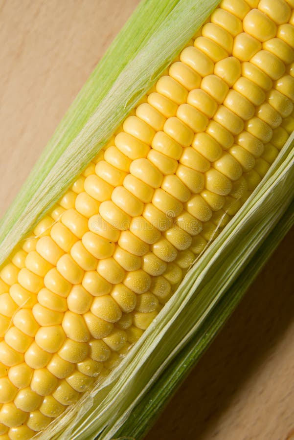 The Seeds Fruit of the Corn Closeup. Stock Image - Image of popcorn ...