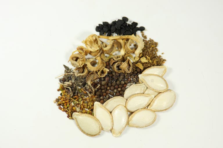 1,011 Small Onion Plants Stock Photos - Free & Royalty-Free Stock ...