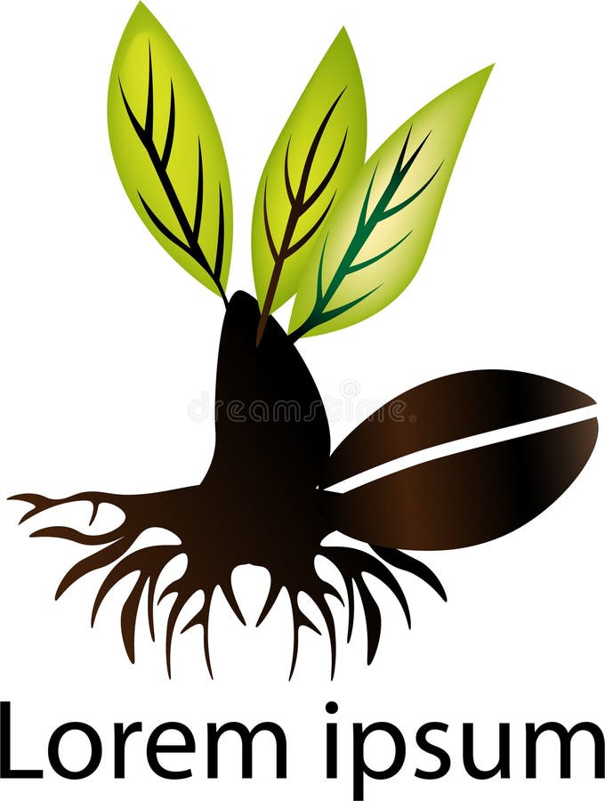 Grow Tree Root Infographic Stock Illustrations – 94 Grow Tree Root ...