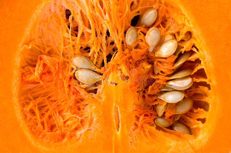 251 Pumpkin Inside Texture Stock Photos - Free & Royalty-Free Stock ...