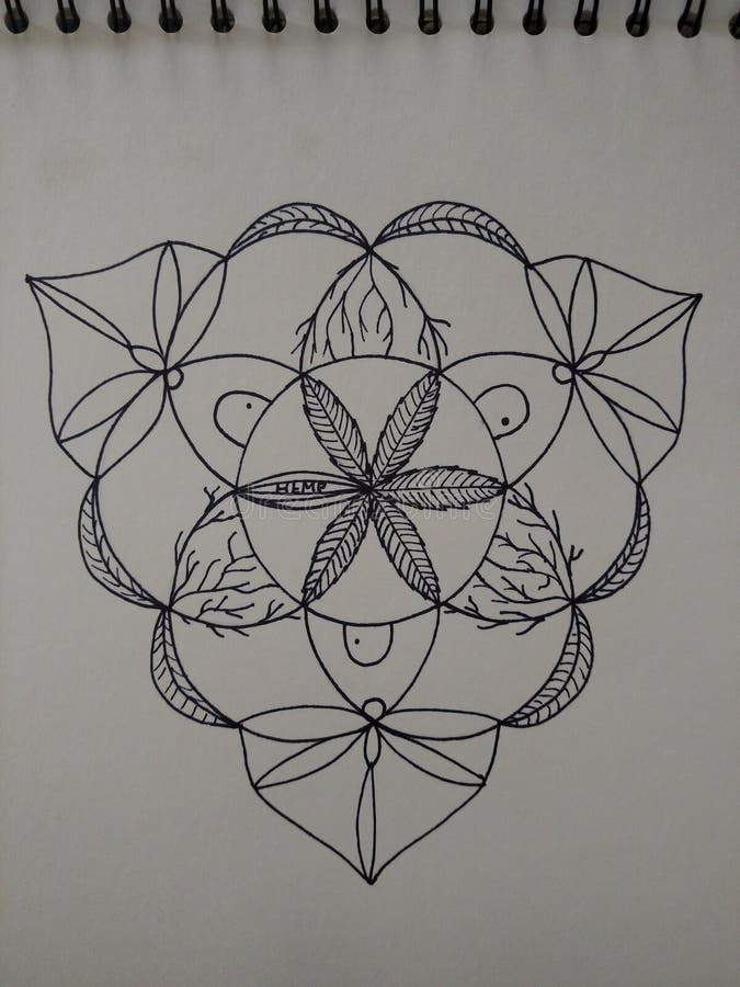 Seeds of Life - Circle of Life Stock Illustration - Illustration of ...