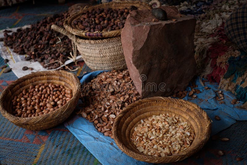 Seeds of Moroccan Argan Tree on a Market Stock Image - Image of natural ...