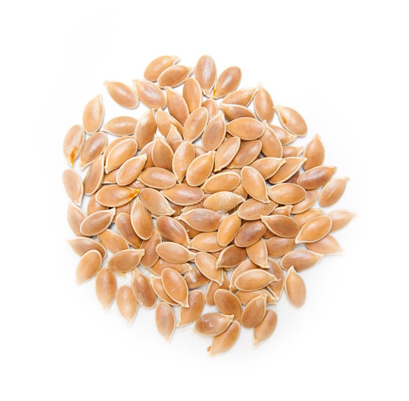 Seeds stock photo. Image of juicy, bunch, food, green - 55305172