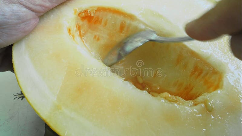 Seeds are Scooped Out of a Melon Cut Lengthwise Using a Spoon. Stock ...