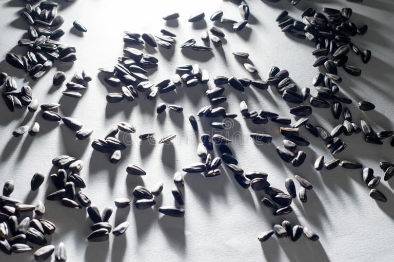 Seeds and shadows stock image. Image of cultivate, color - 52740453