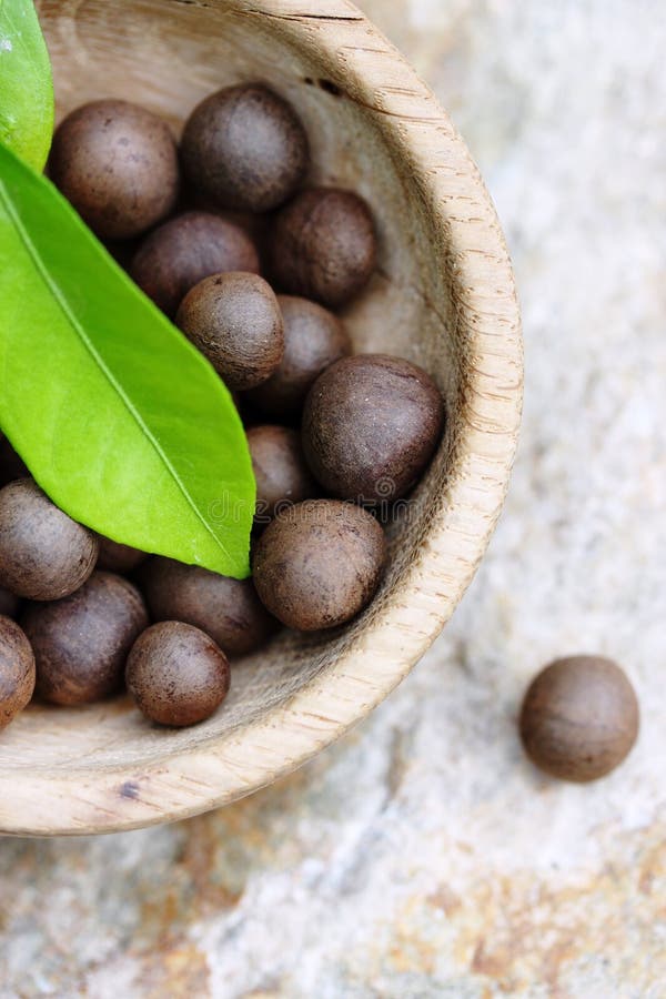 Seeds tea bush, top view stock photo. Image of fruit - 56926264
