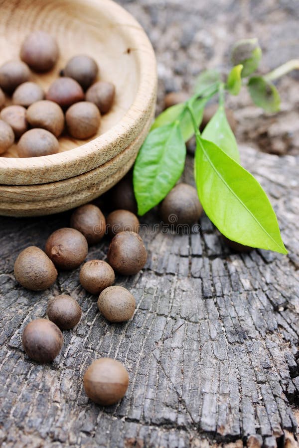 Seeds of tea stock image. Image of cultivated, ethnicities - 56925689
