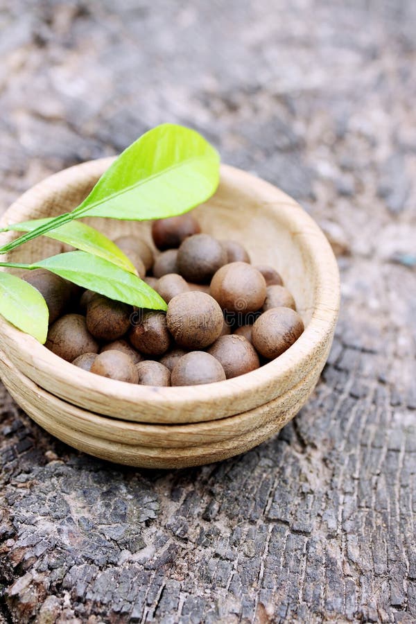 Seeds of the tea plant stock photo. Image of healthcare - 56925734