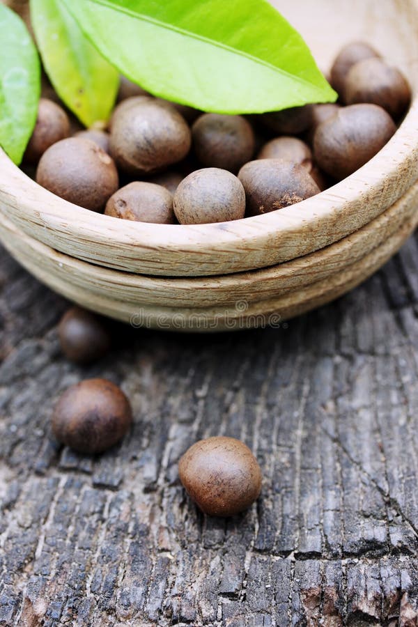 Seeds of tea plant stock photo. Image of freshness, cultures - 56926468